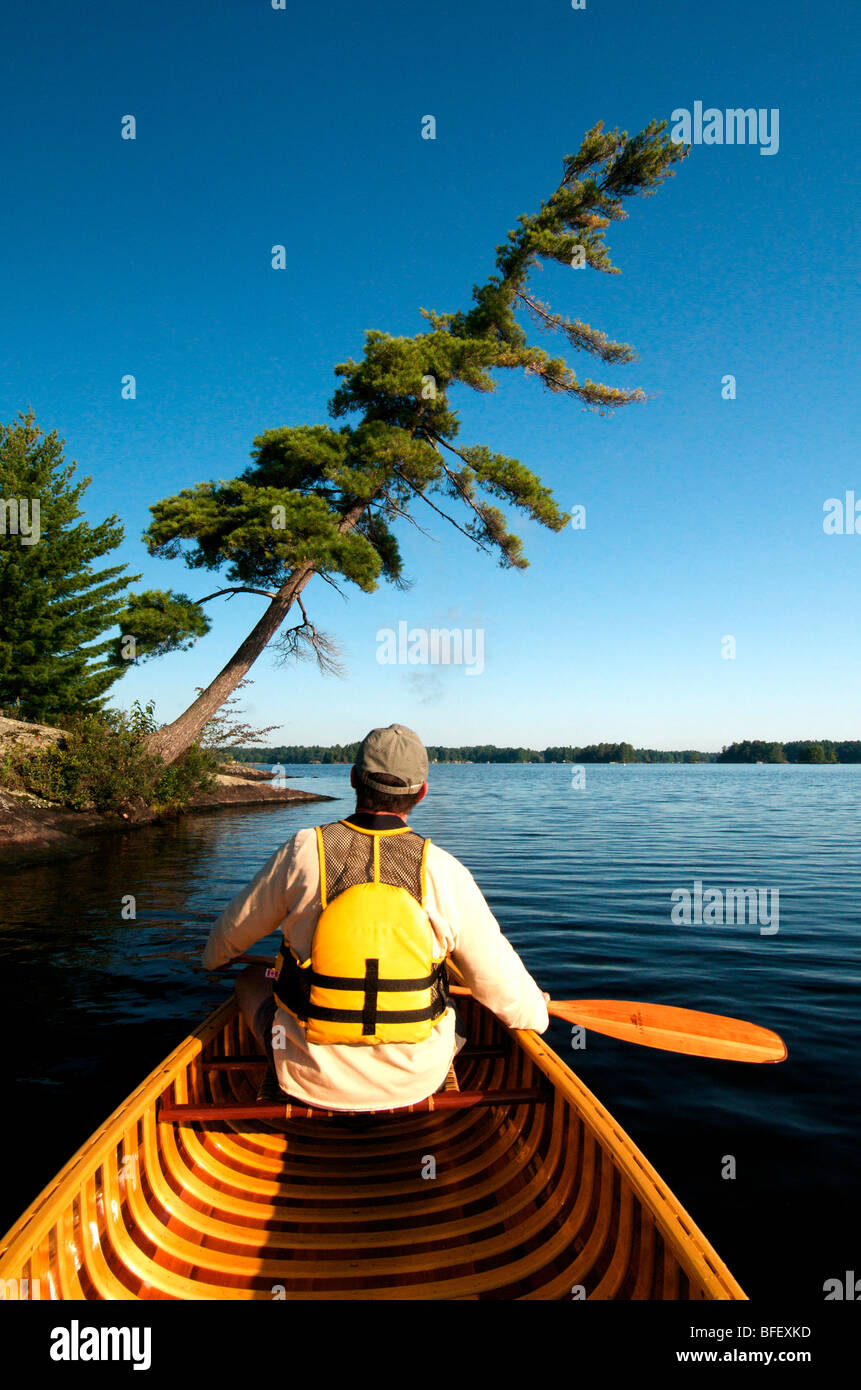 Man, Canoe, Pine, Kahshe Lake, Muskoka, Ontario Stock Photo - Alamy