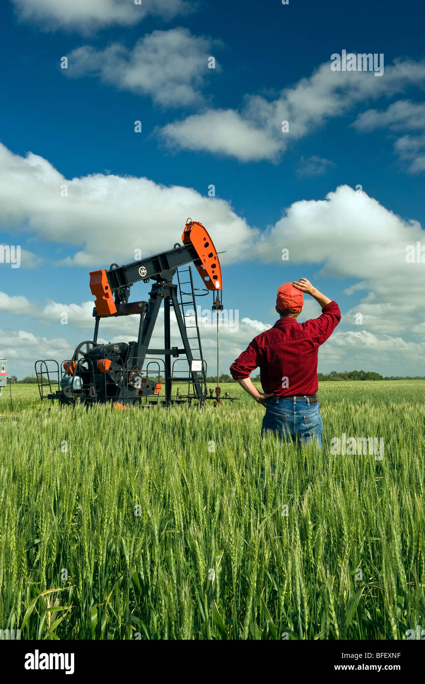 a man looks out over a wheat field with an oil pumpjack in the ...