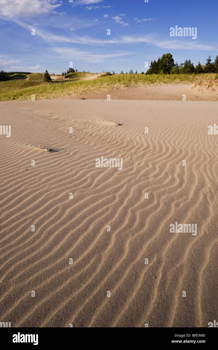 Public beach beaches dune hi-res stock photography and images - Alamy
