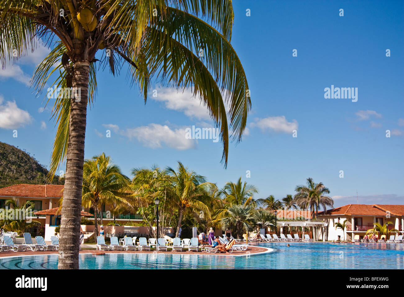 Caribbean resort pool (poolside) view Stock Photo - Alamy