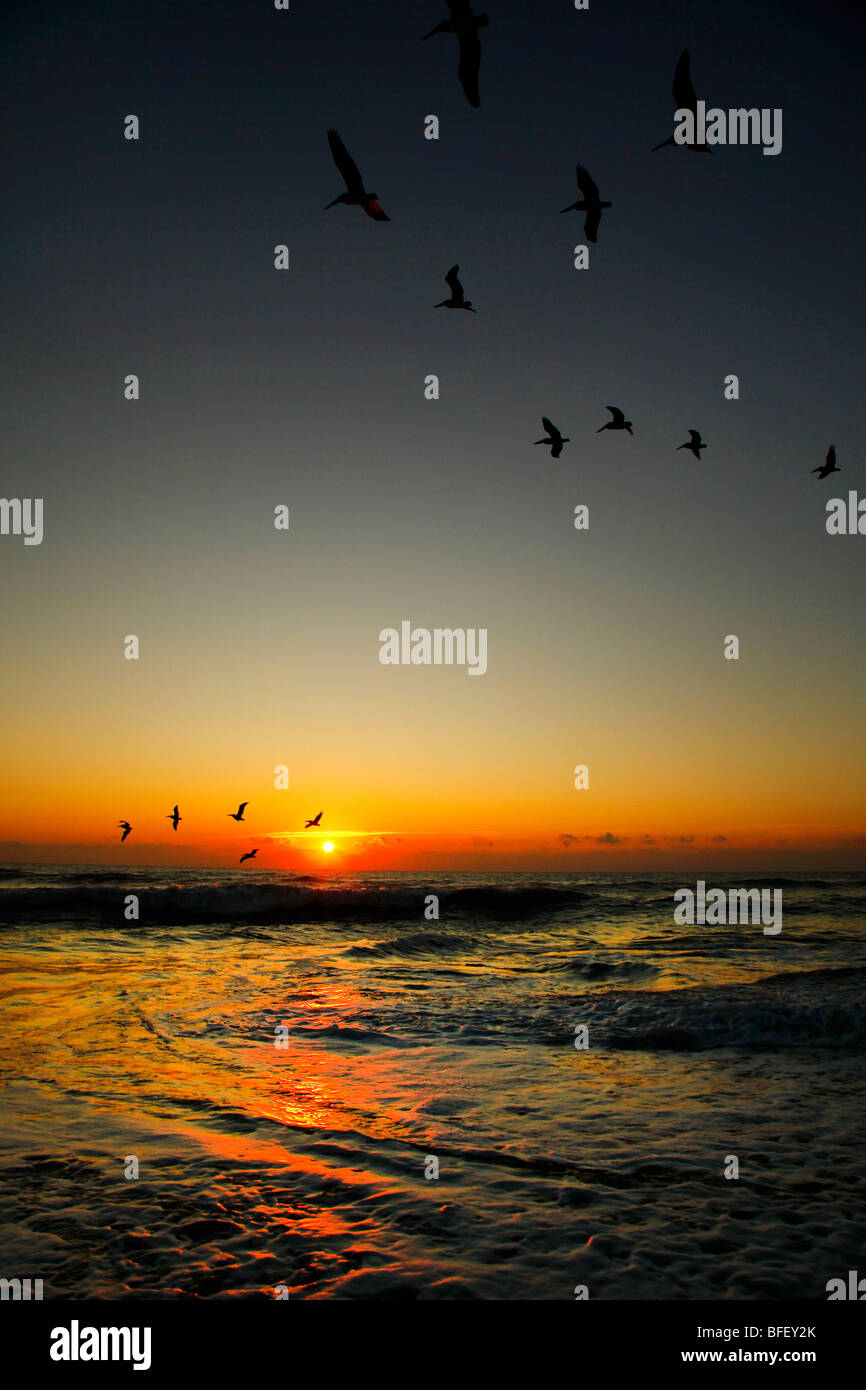Sunrise at Carolina Beach, Cape Fear / Wilmington area, North Carolina ...