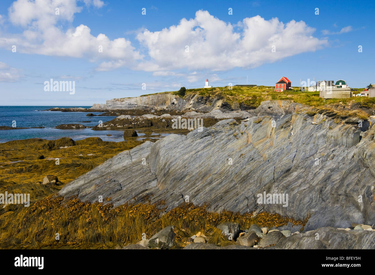 Rugged cliffs formed by metamorphosed sedimentary rocks of Cambrian ...