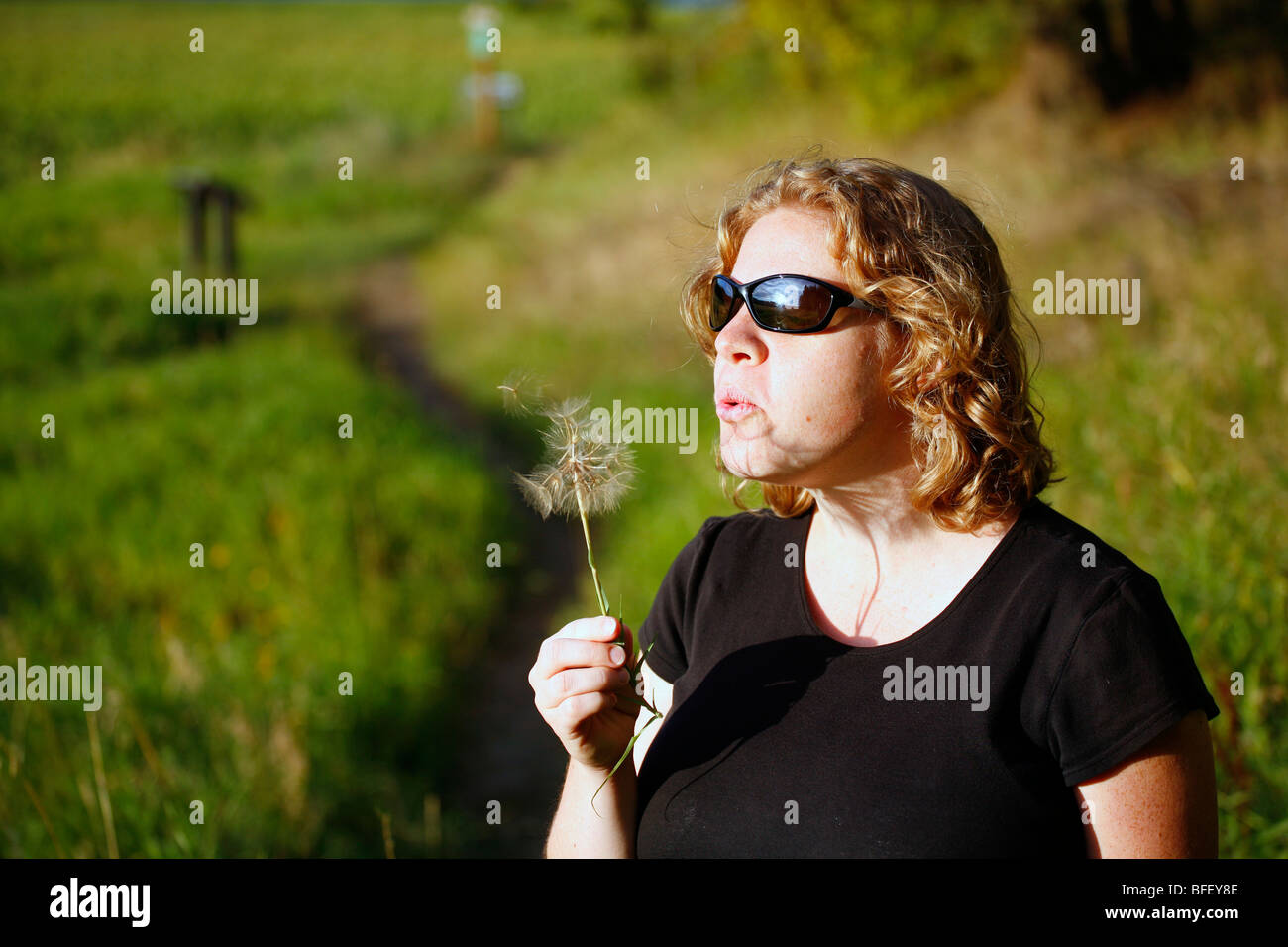 Woman blowing the seeds of the Western salsify or goatsbeard in a ...