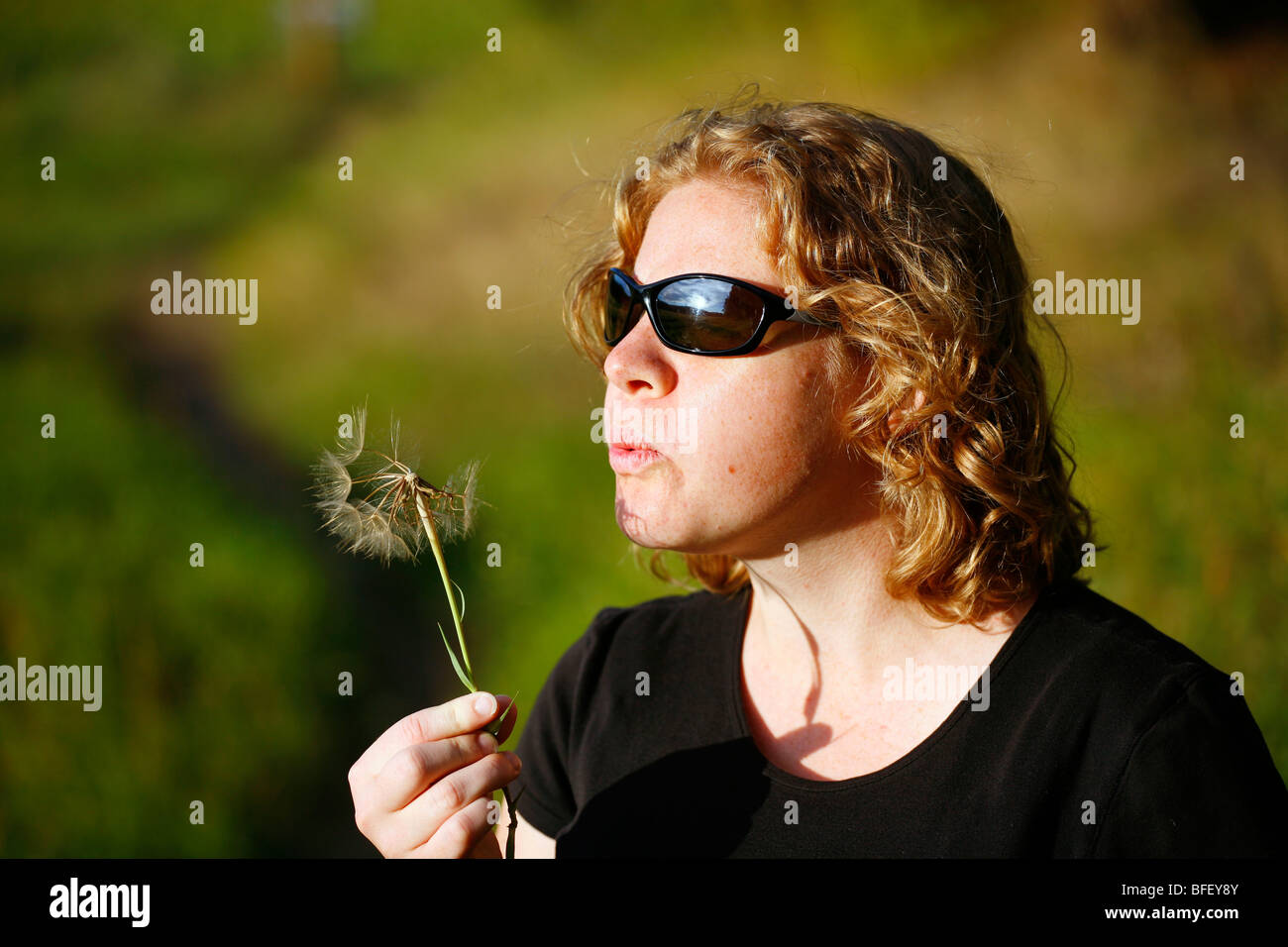 Woman blowing the seeds of the Western salsify or goatsbeard in a ...