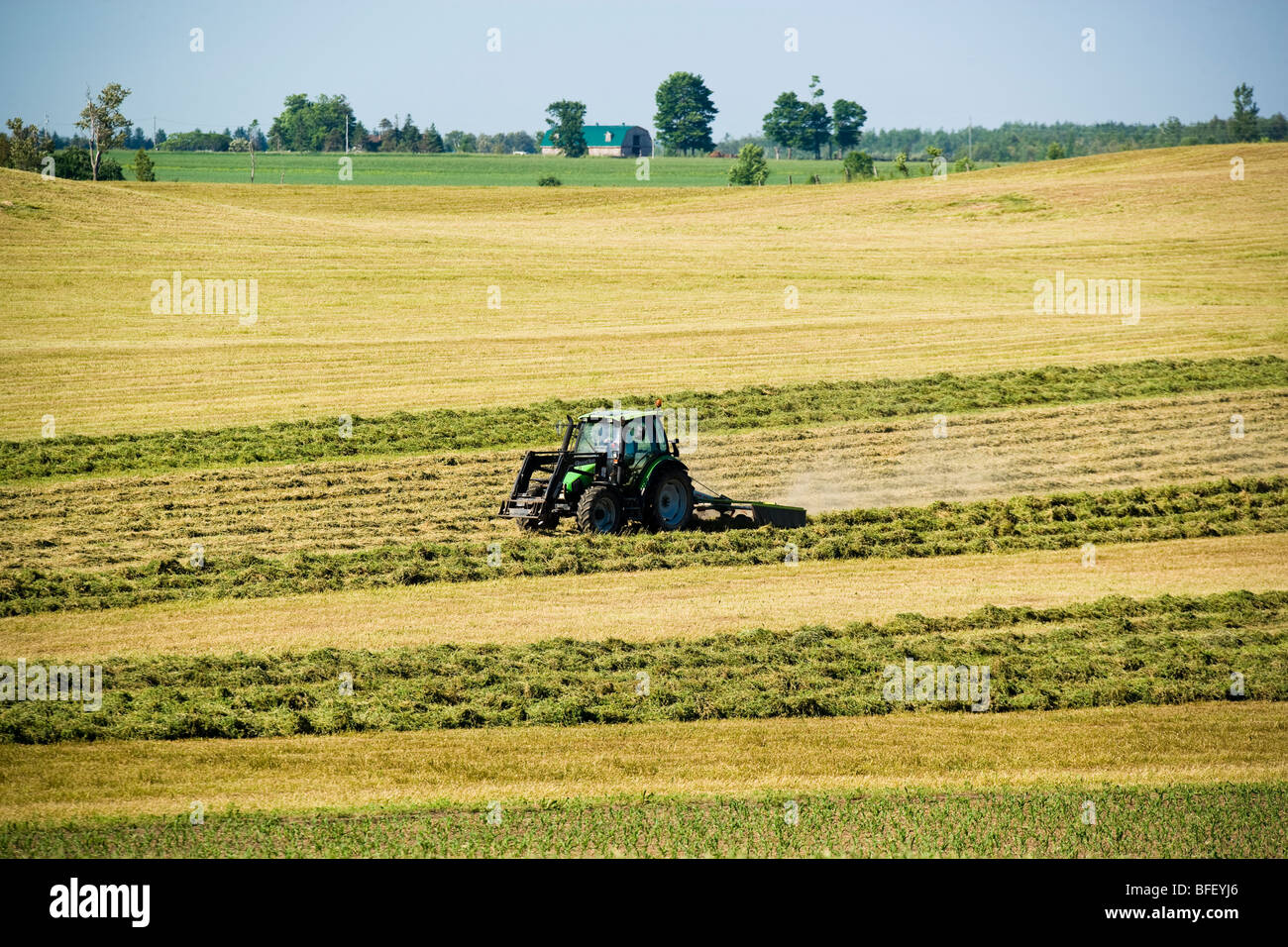Hay cutting hi-res stock photography and images - Alamy