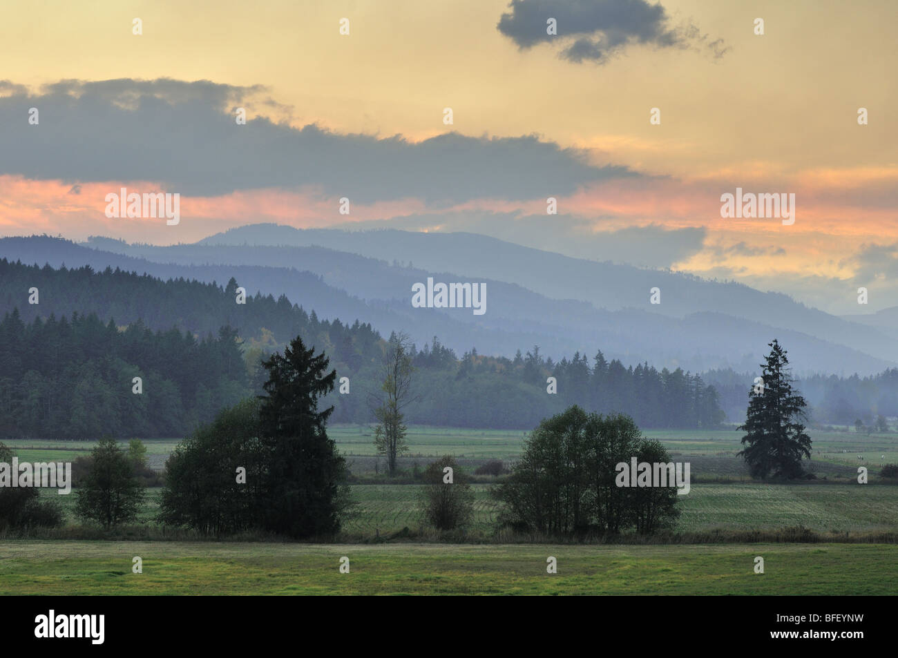 Cowichan valley hi-res stock photography and images - Alamy