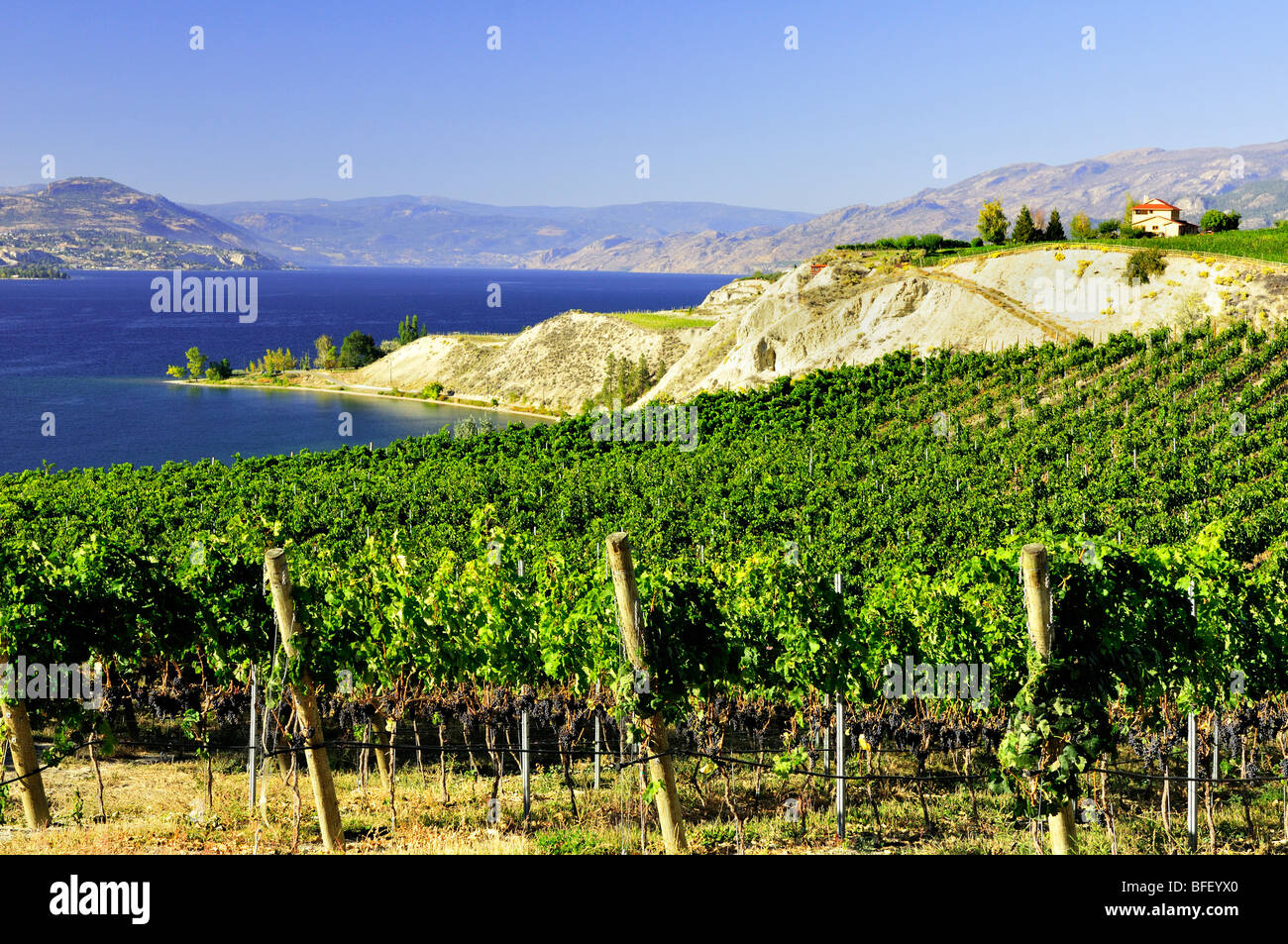 Naramata hi-res stock photography and images - Alamy