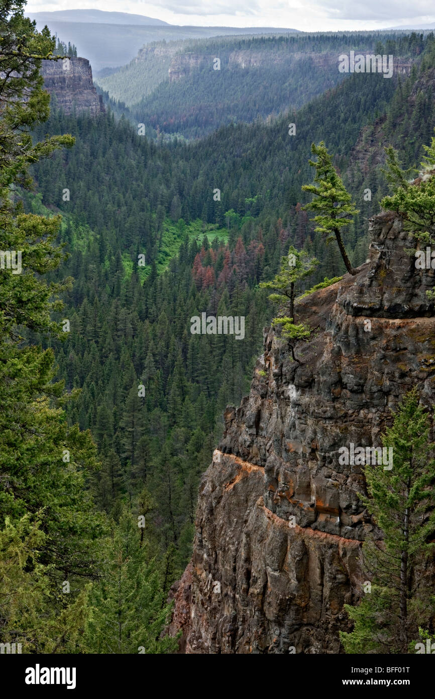 The chasm gorge hi-res stock photography and images - Alamy