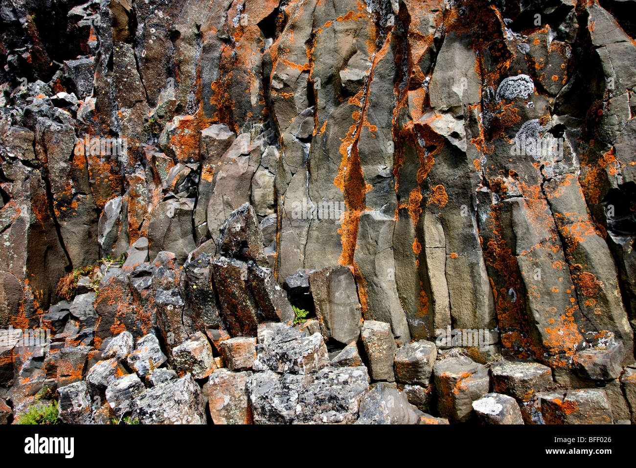 Volcanic basalt columns on Cardiff Mountain in the Chilcotin region of ...