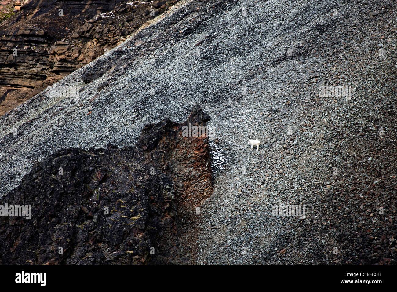 Itcha mountain hi-res stock photography and images - Alamy