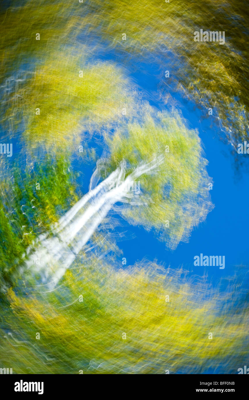 fall colours in the Cariboo region of British Columbia Canada Stock ...