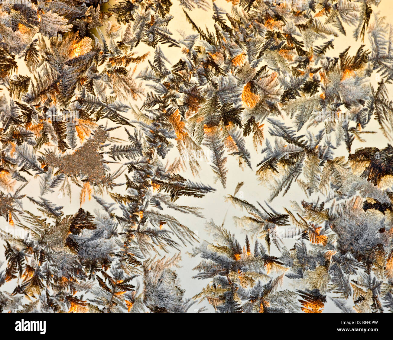 Detailed patterns hi-res stock photography and images - Alamy