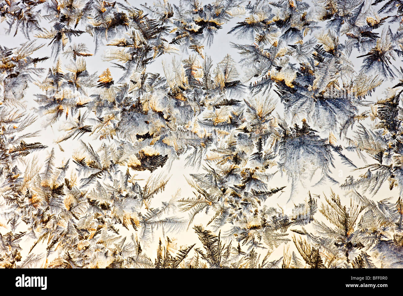 Detailed patterns hi-res stock photography and images - Alamy