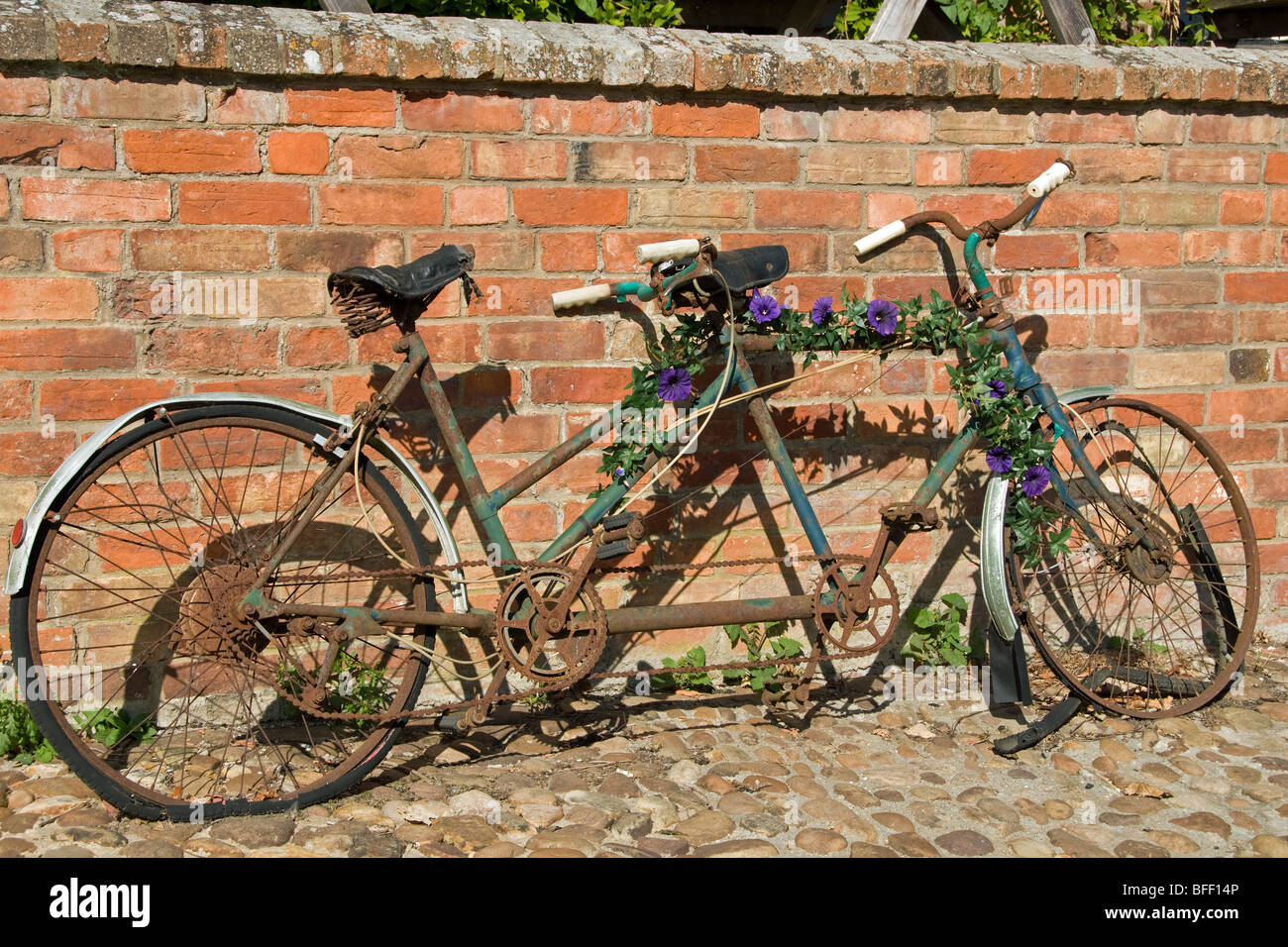 Tandem with Flowers Stock Photo - Alamy