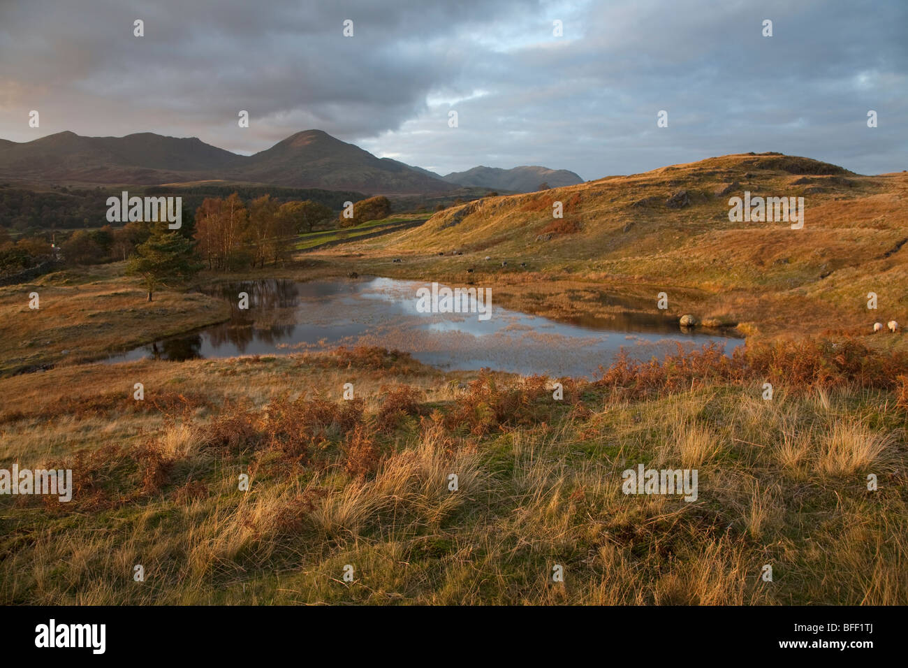 Torver common lake district hi-res stock photography and images - Alamy