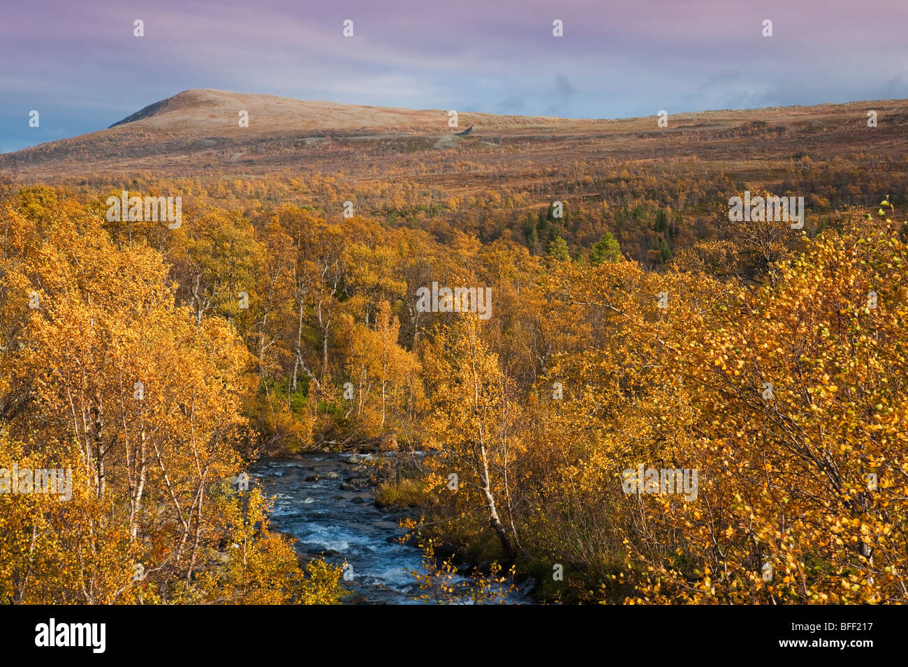 Sweden Colours High Resolution Stock Photography and Images - Alamy