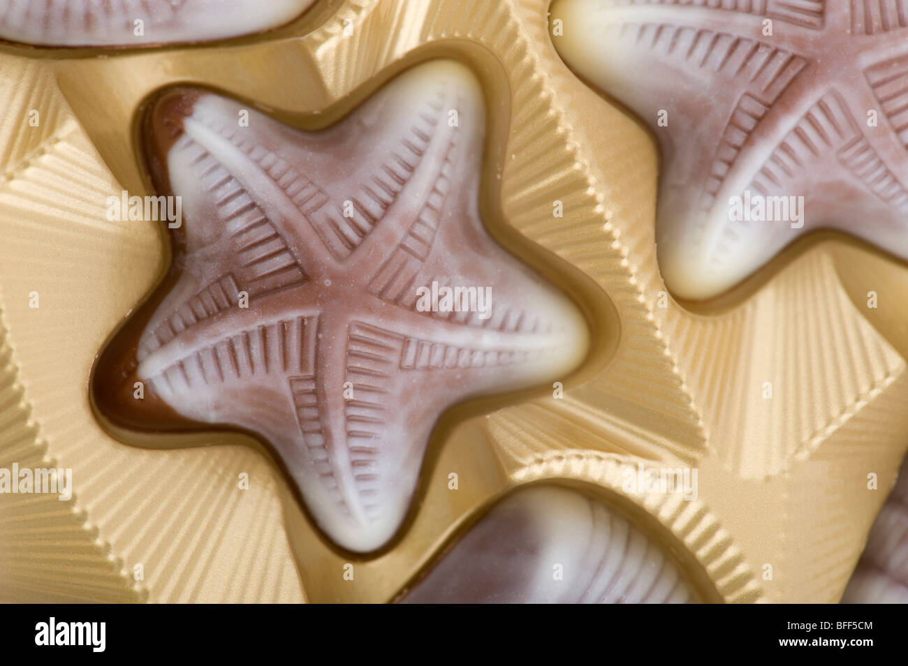 chocolate candy seashells in box close up Stock Photo - Alamy