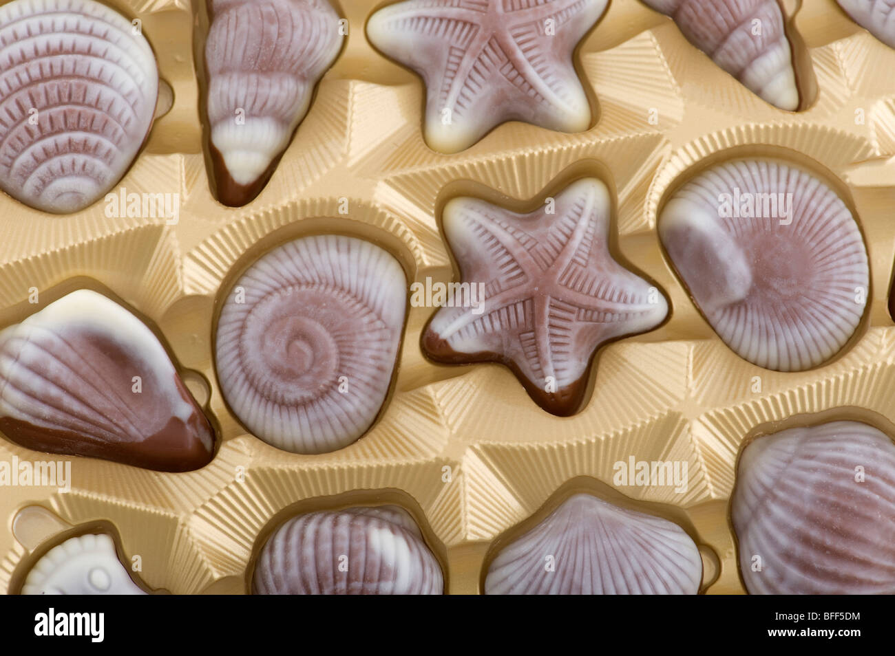 chocolate candy seashells in box close up Stock Photo - Alamy