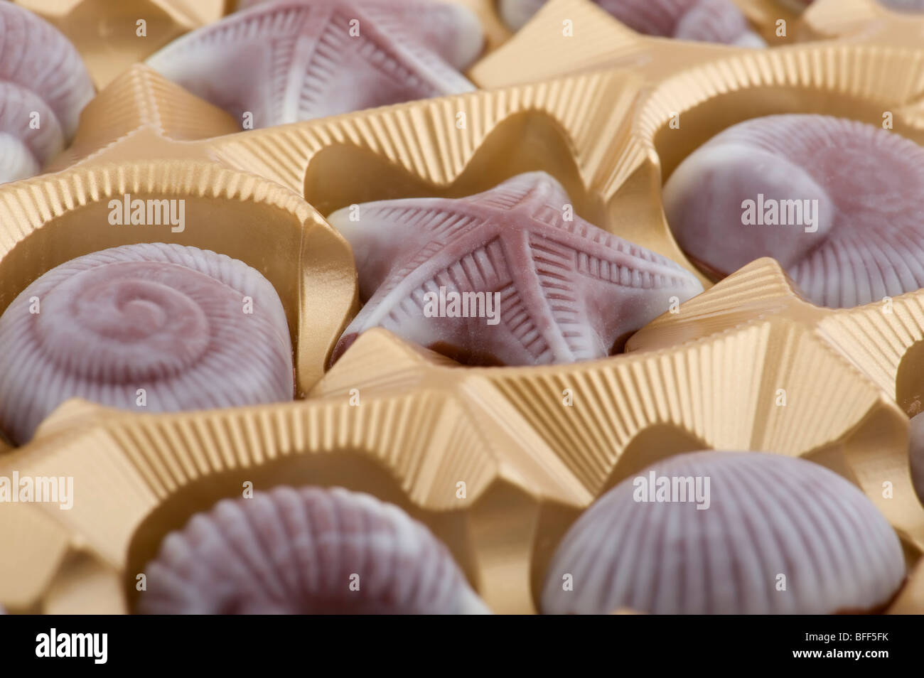 chocolate candy seashells in box close up Stock Photo - Alamy