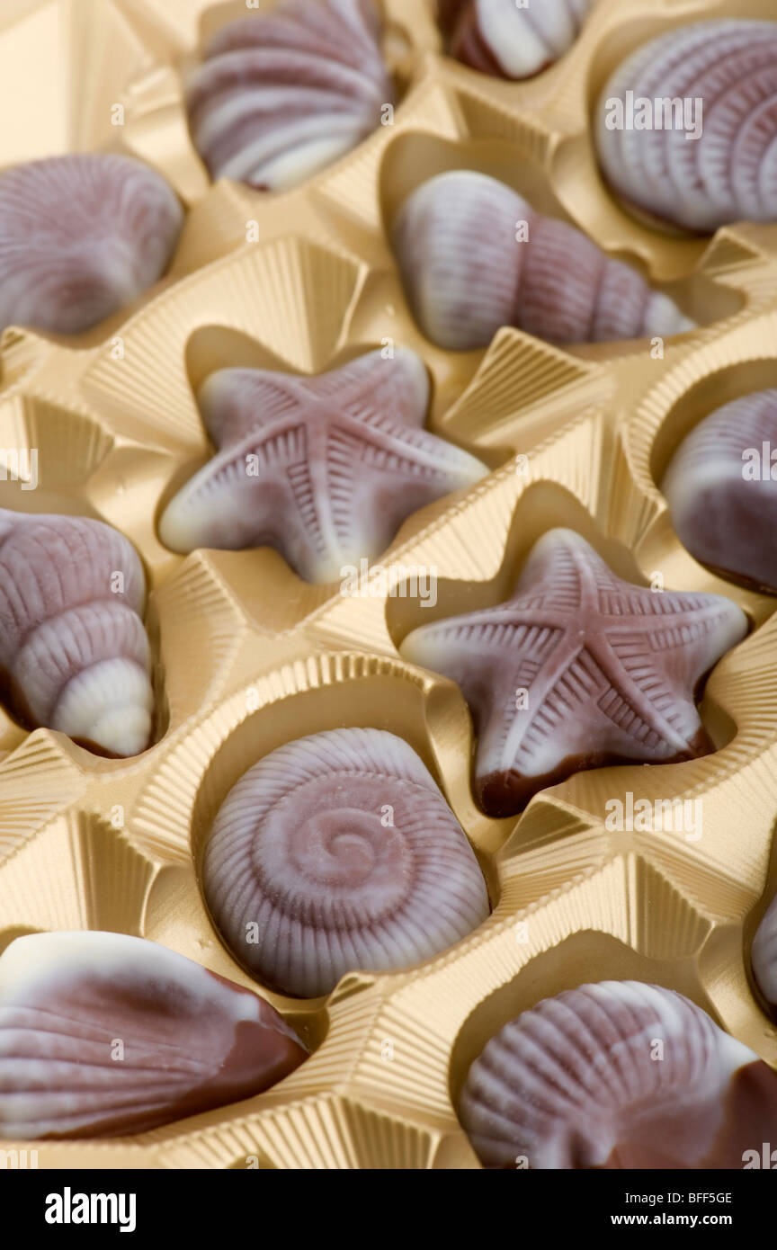 chocolate candy seashells in box close up Stock Photo - Alamy