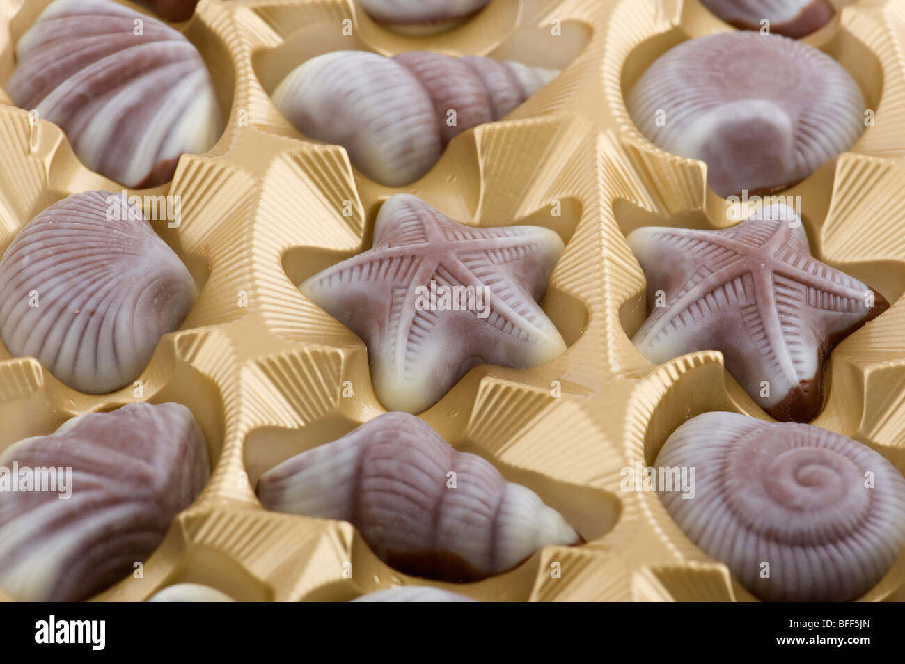 chocolate candy seashells in box close up Stock Photo - Alamy