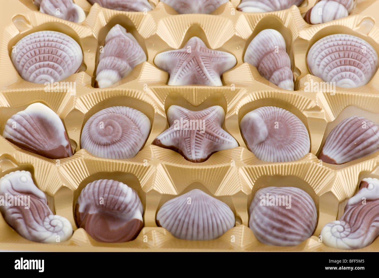chocolate candy seashells in box close up Stock Photo - Alamy