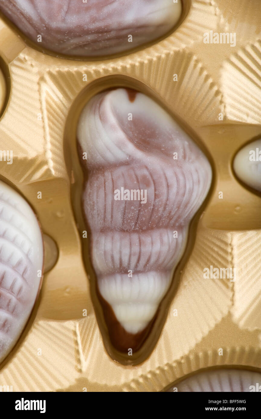 chocolate candy seashells in box close up Stock Photo - Alamy