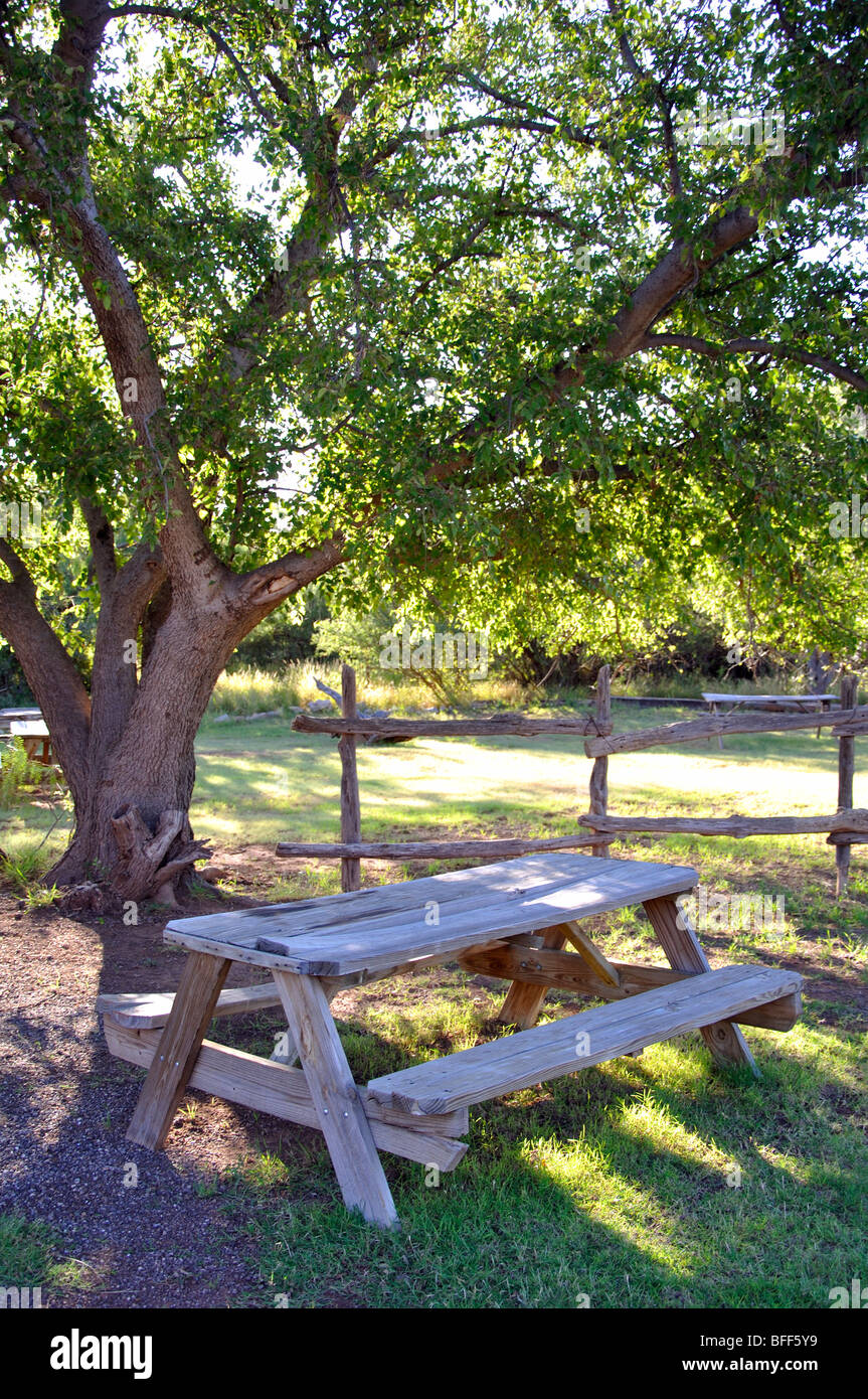 Picnic table in park Stock Photo - Alamy