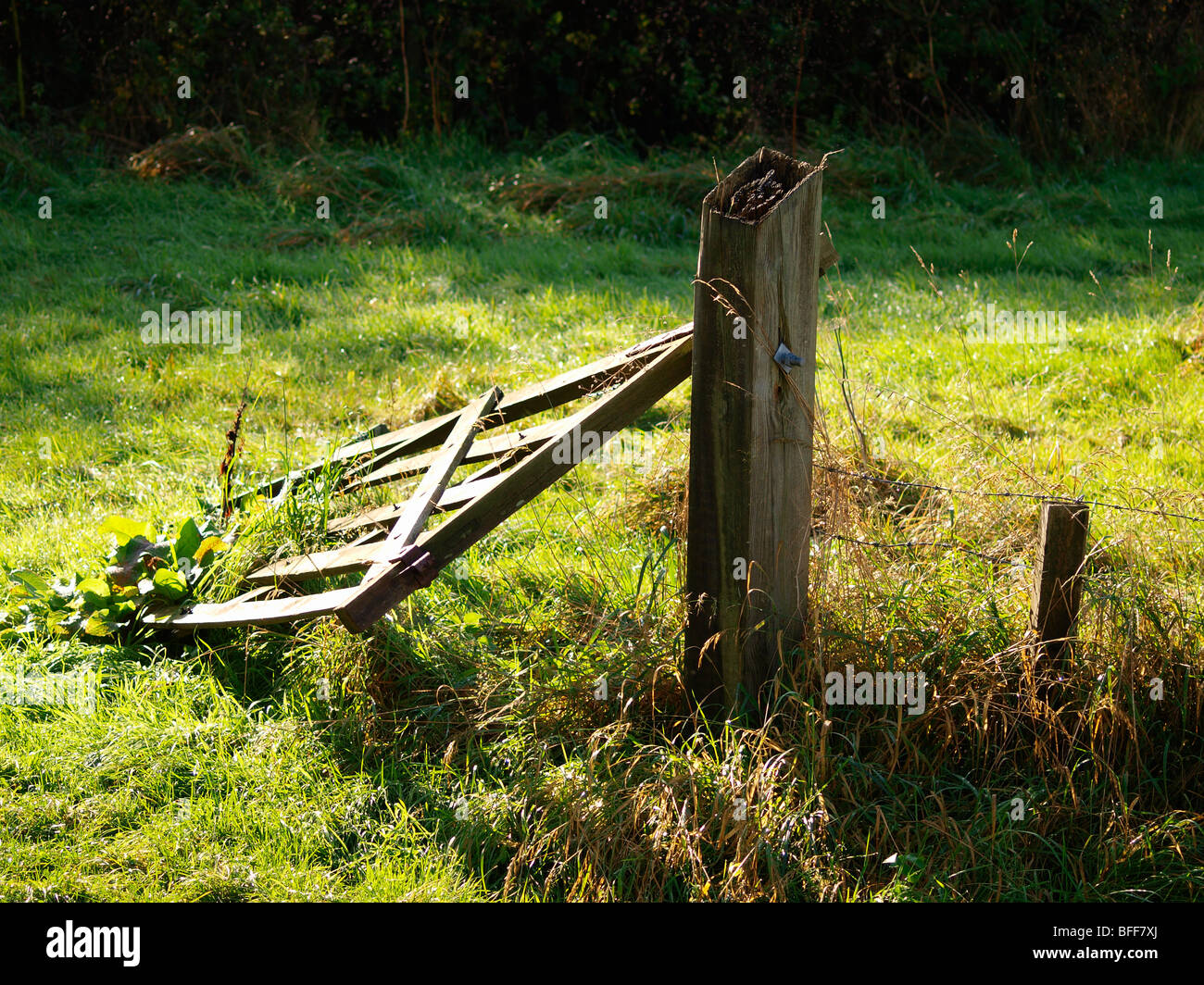 Old derelict farm gate Stock Photo - Alamy
