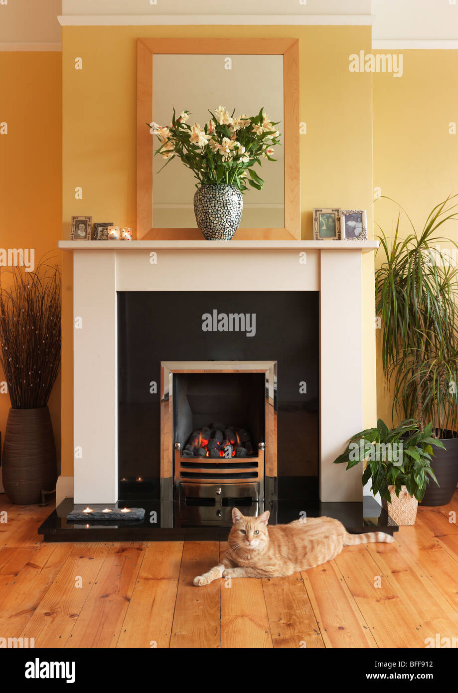 Real fires hi-res stock photography and images - Alamy