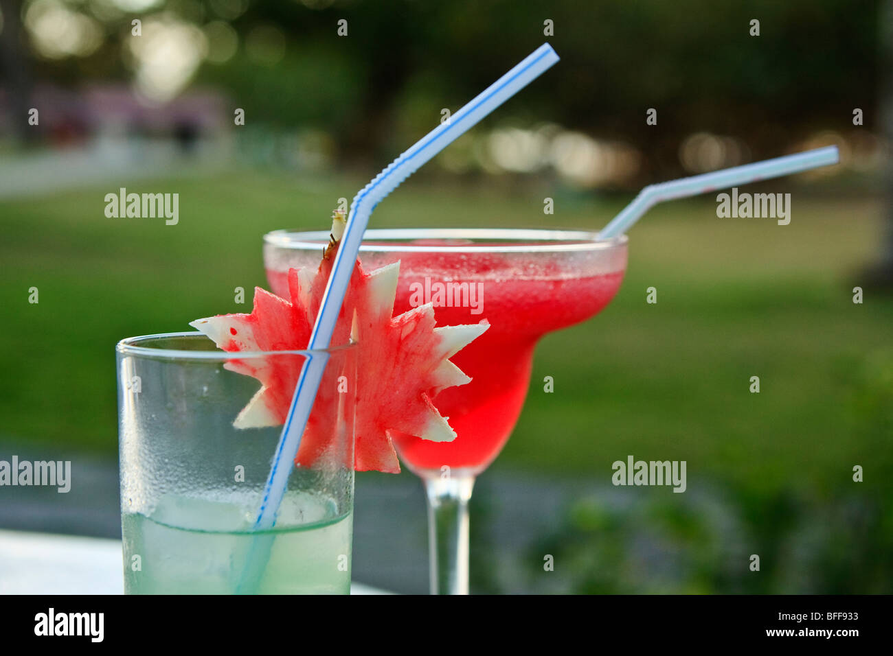 Mixed alcoholic cocktail drinks. Canadian flag made of pineapple tops ...