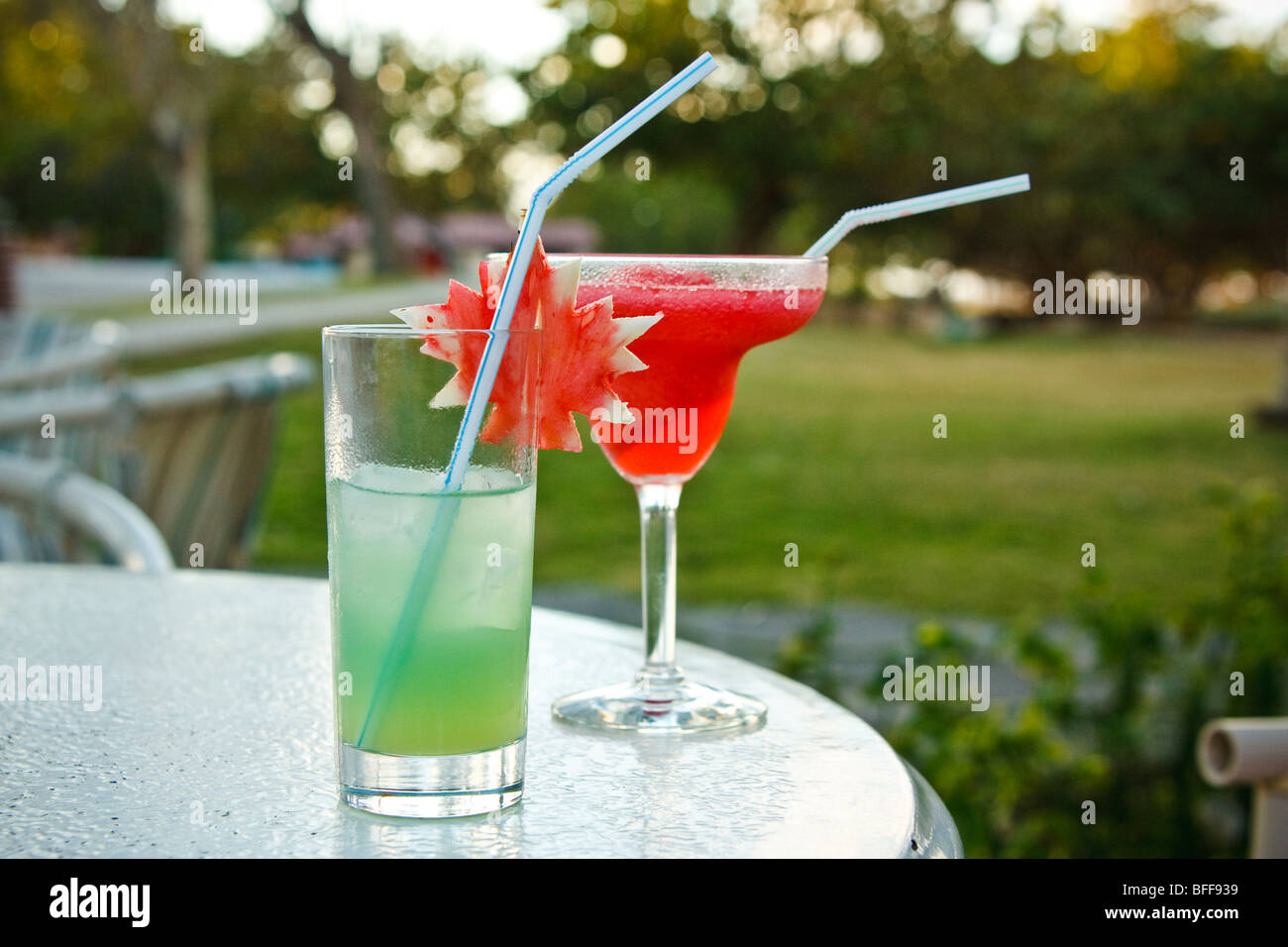 Mixed alcoholic cocktail drinks. Canadian flag made of pineapple tops ...
