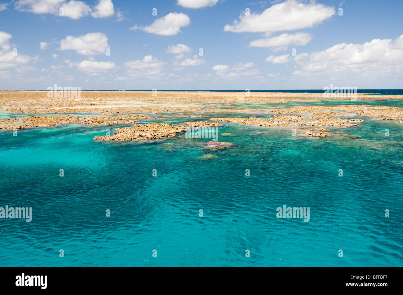 Snorkeling on the great barrier reef Australia clear calm Stock Photo ...