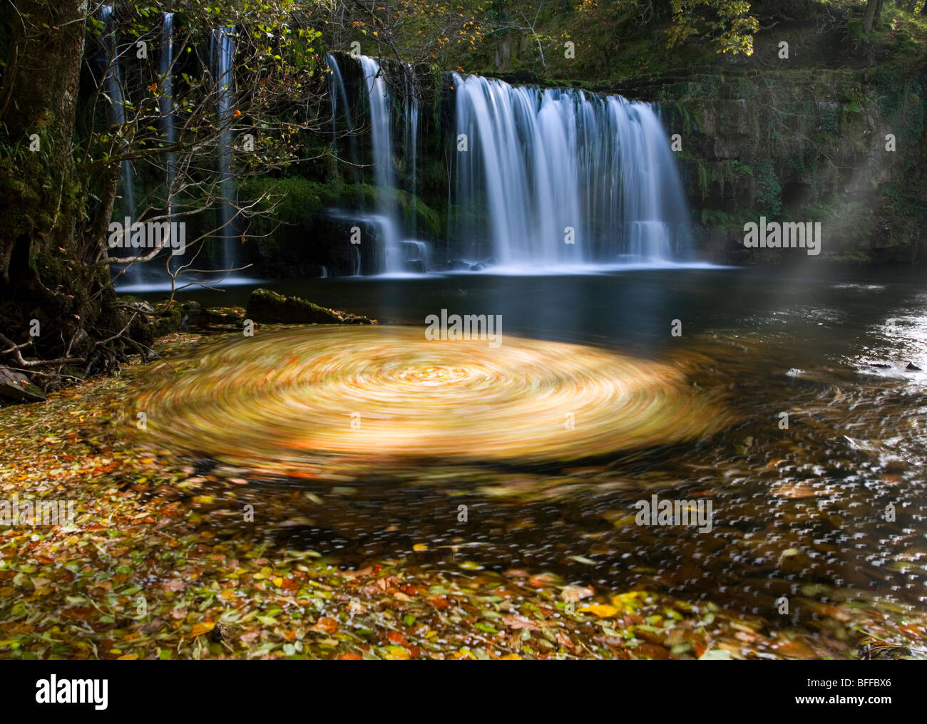 Leaf swirl at Sgwd Ddwli Uchaf waterfall near Pontneddfechan in the ...