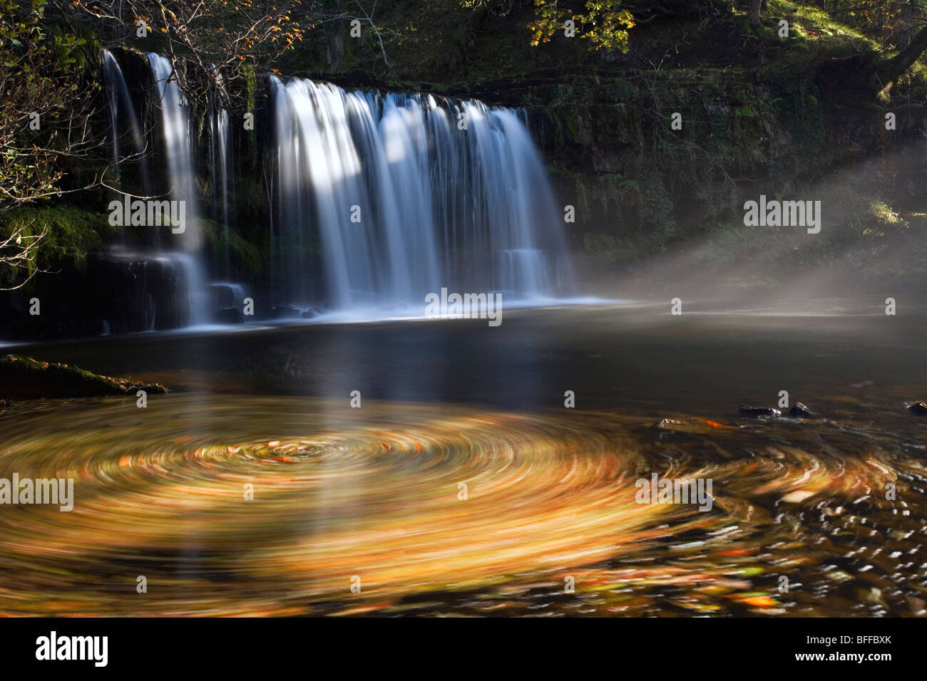 Leaf swirl at Sgwd Ddwli Uchaf waterfall near Pontneddfechan in the ...