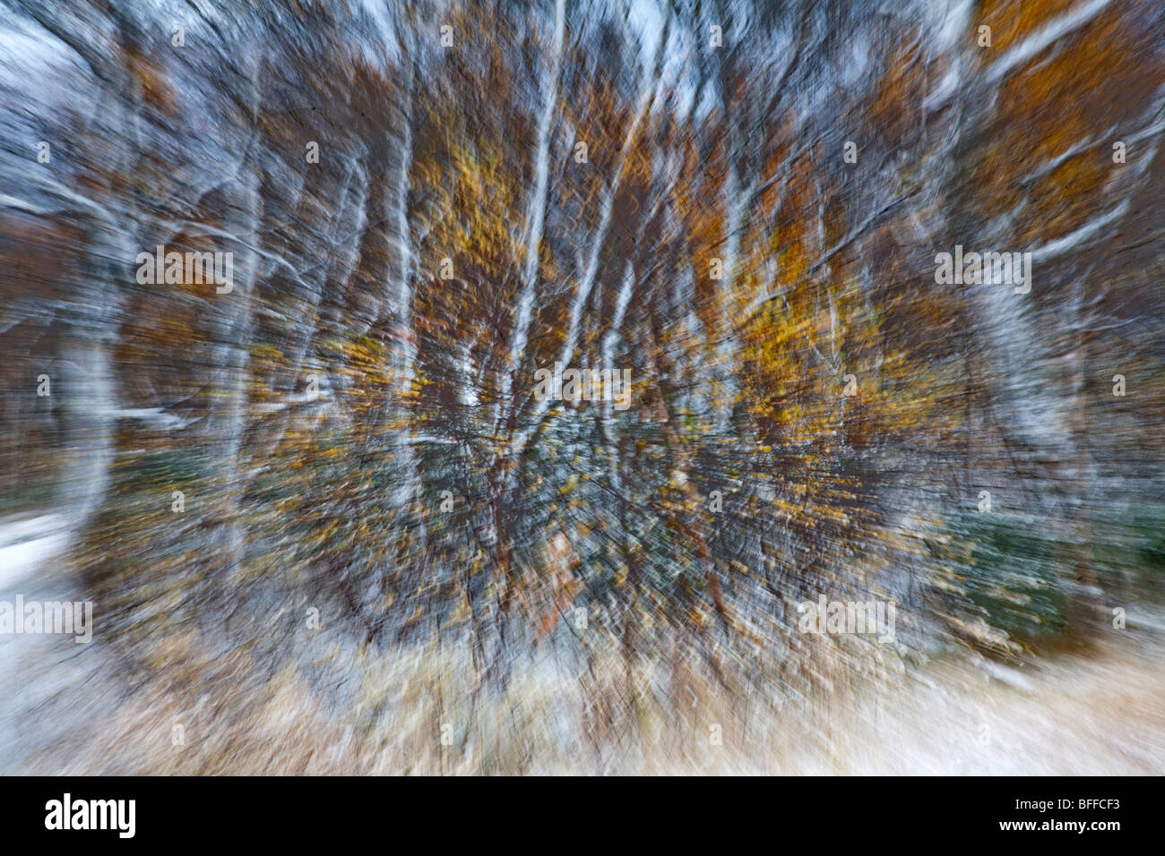 The first snow hi-res stock photography and images - Alamy