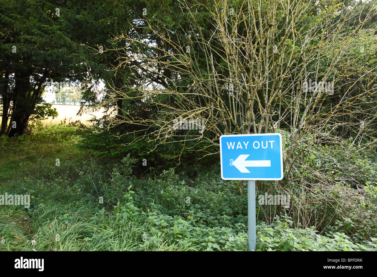 Way out sign Stock Photo - Alamy