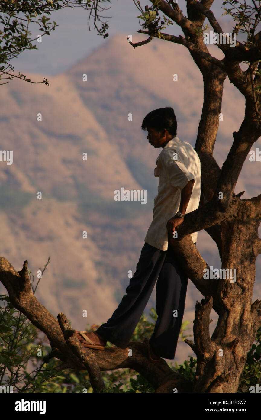 Indian man stands in a tree at Little Chowk Point on Matheran hill ...