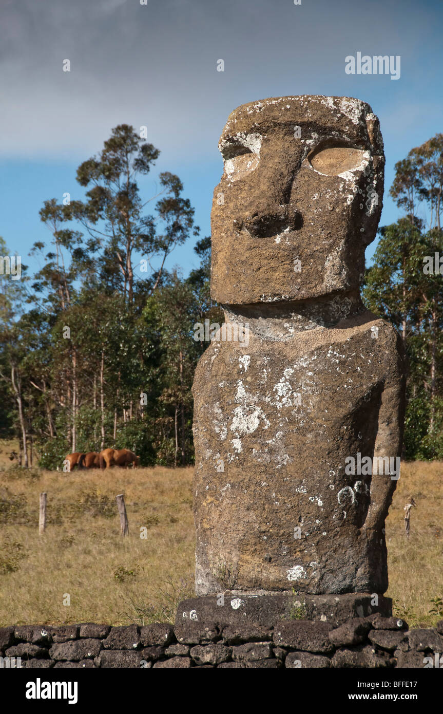 Easter Island Moai Statues at the Ahu Akivi Site Stock Photo - Alamy
