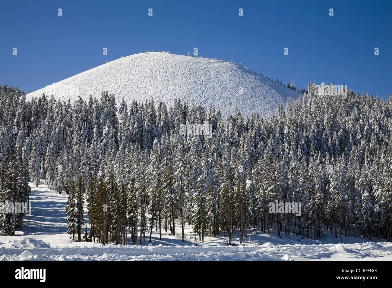 Ski trails slither down a cinder cone at Mount Bachelor ski area in the ...