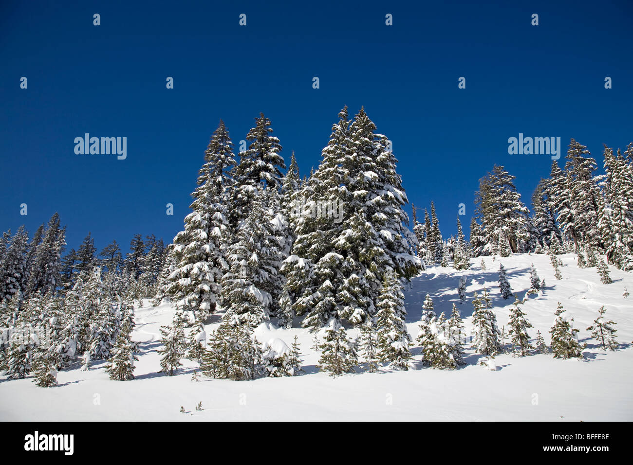 Cascade volcanoes hi-res stock photography and images - Alamy