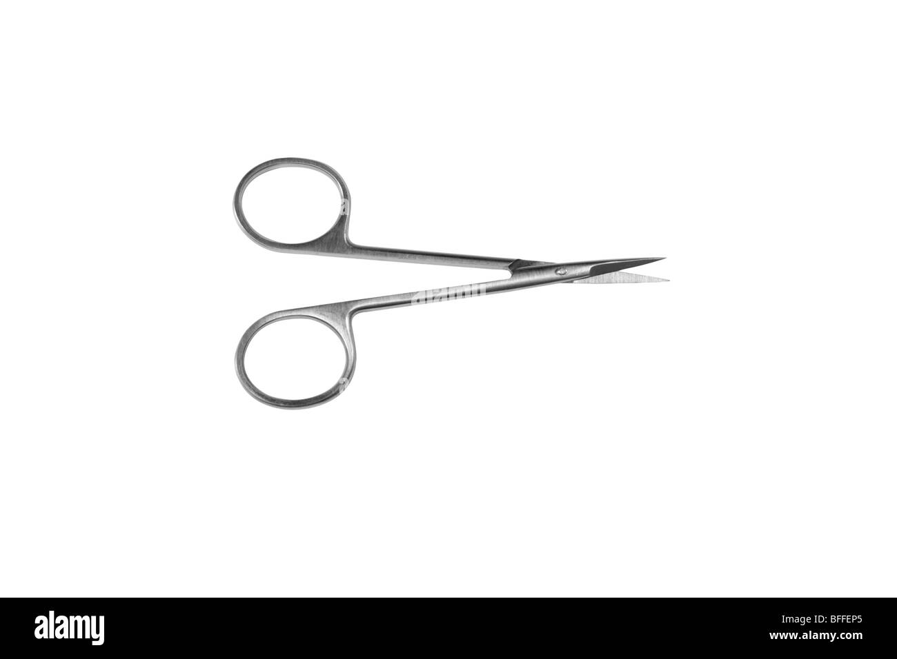 Dissecting dissection Cut Out Stock Images & Pictures - Alamy