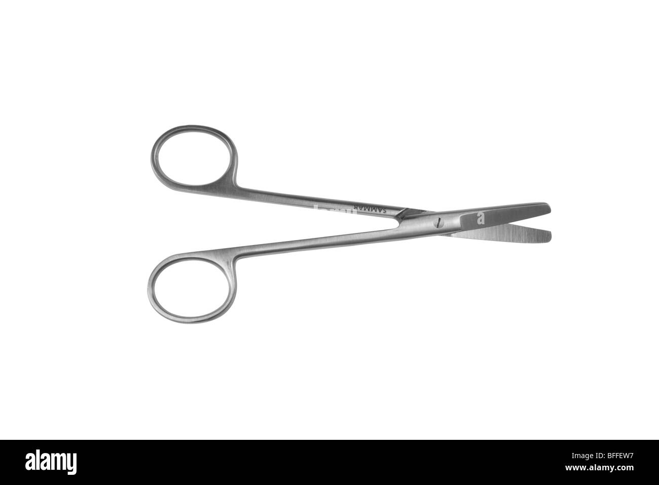 Dissecting hi-res stock photography and images - Alamy