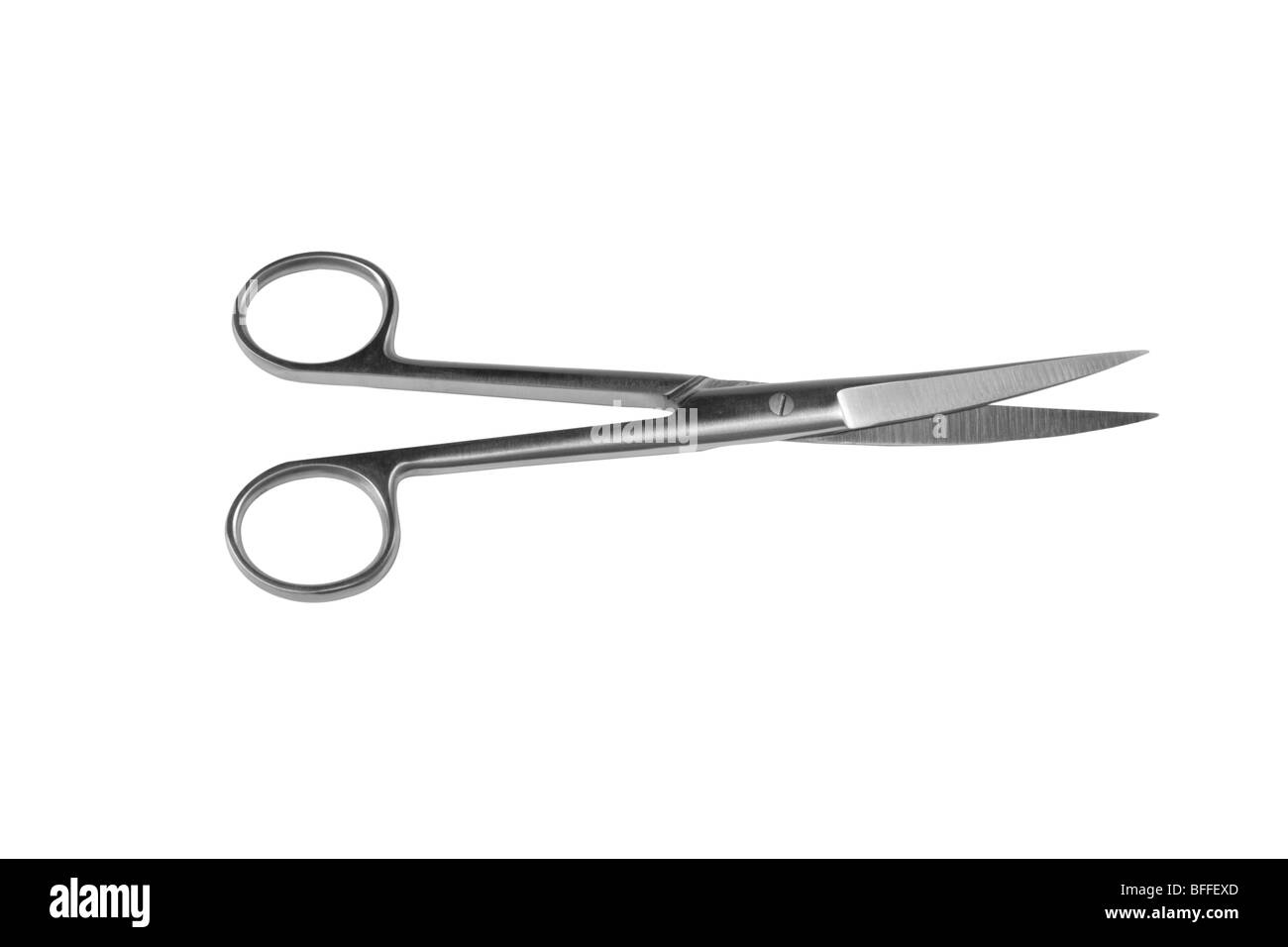 Dissecting scissors hi-res stock photography and images - Alamy