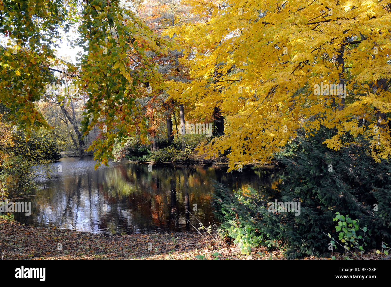 Tiergarten park berlin hi-res stock photography and images - Alamy