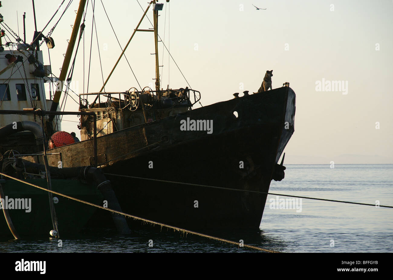 Ocean fishing vessel hi-res stock photography and images - Alamy