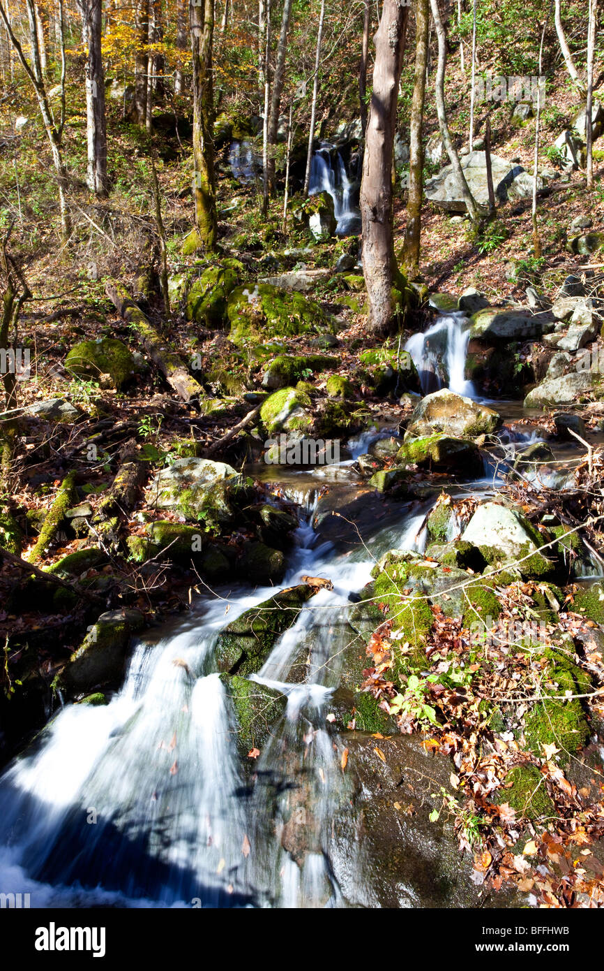 Appalachian trail and great smoky mountains national park hi-res stock ...