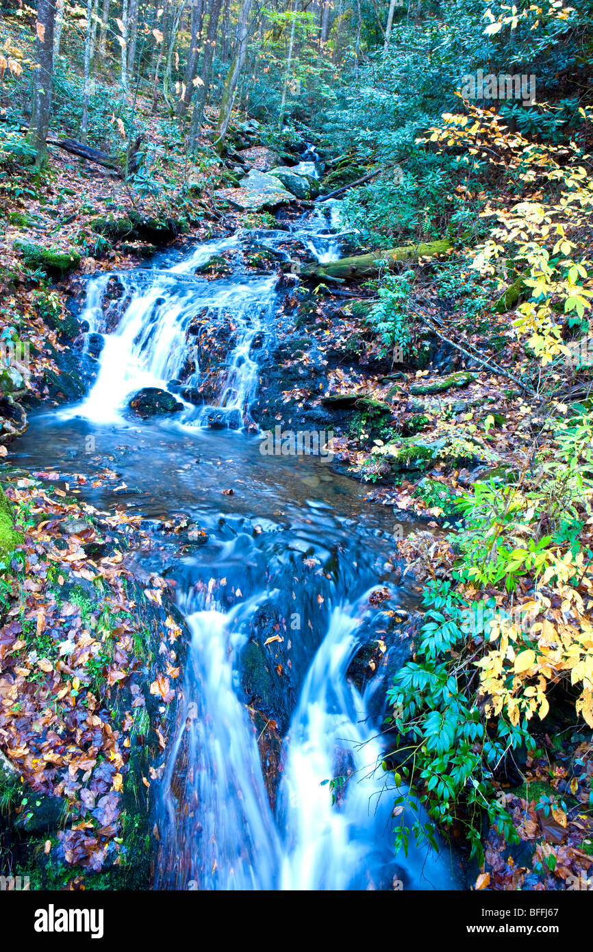 Creek, Tremont, Great Smoky Mountains National Park, Tennessee Stock ...