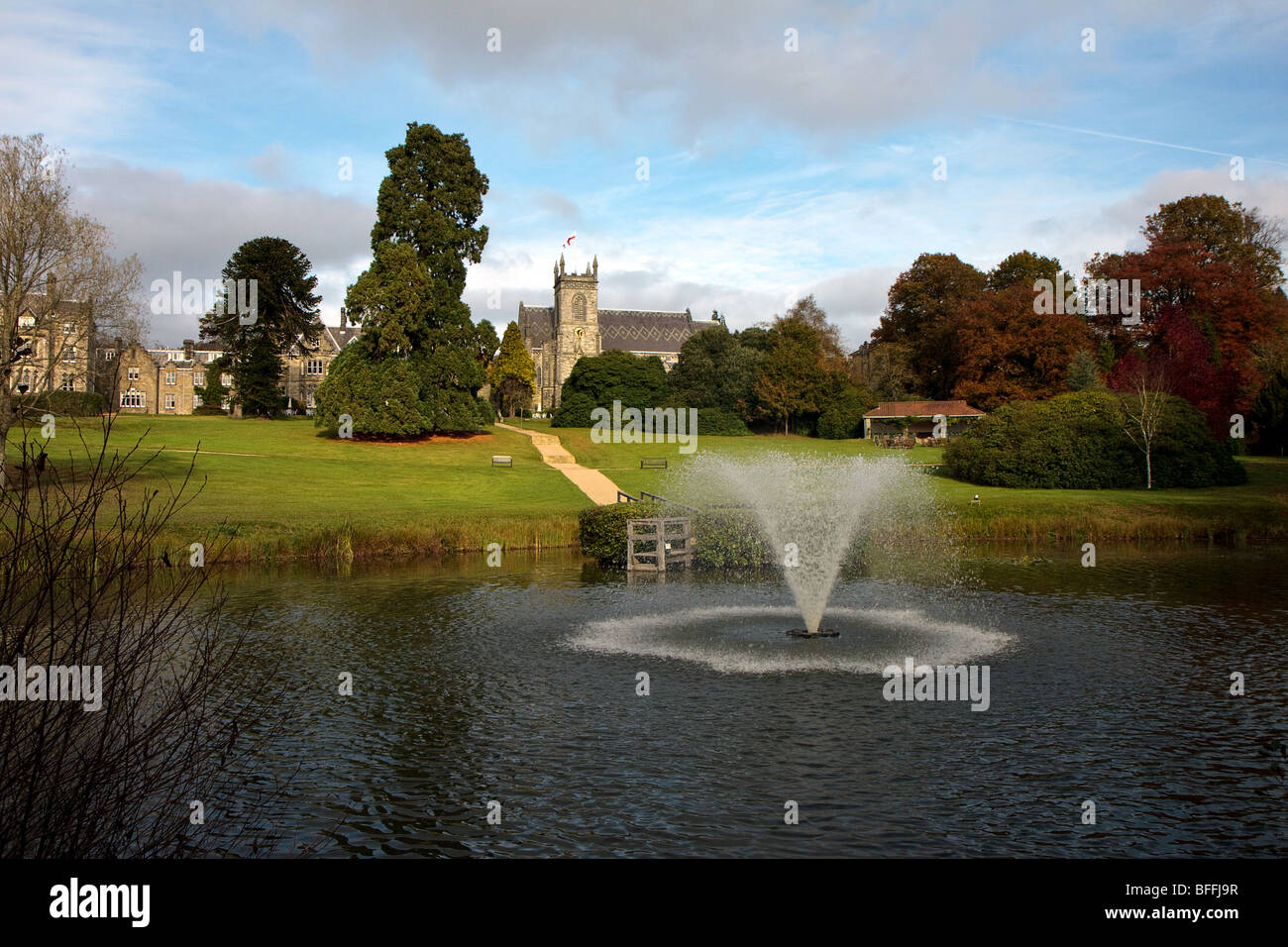 Trees and lake in the grounds of the Ashdown Park Hotel Stock Photo - Alamy