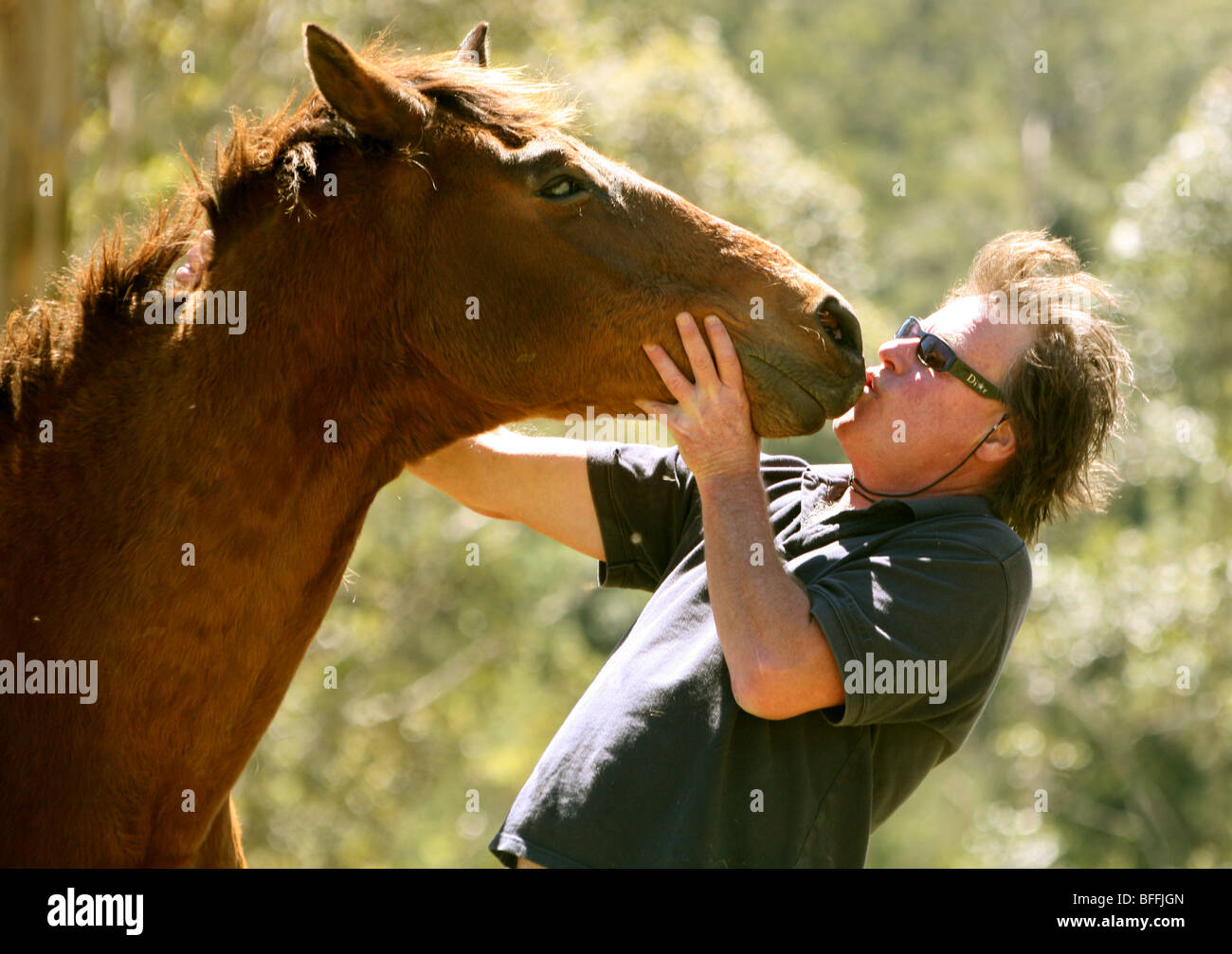 Horse kiss hi-res stock photography and images - Alamy